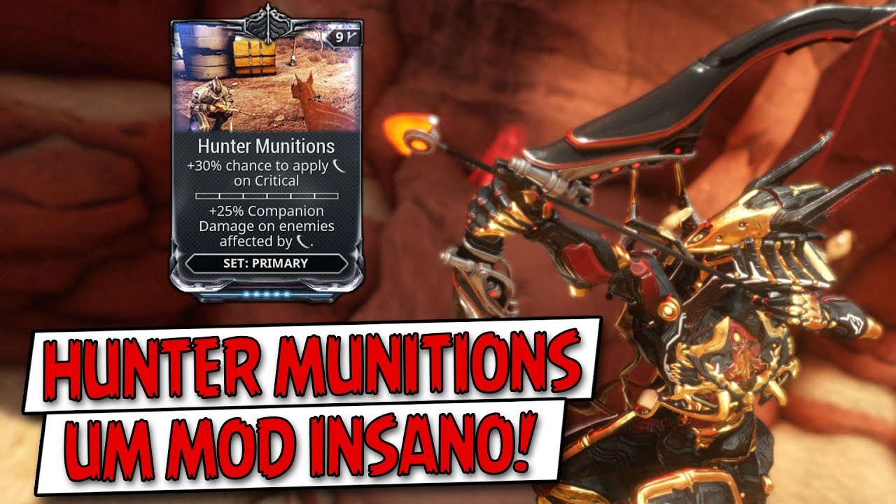 Hunter munitions e suas Builds - Warframe - YouTube