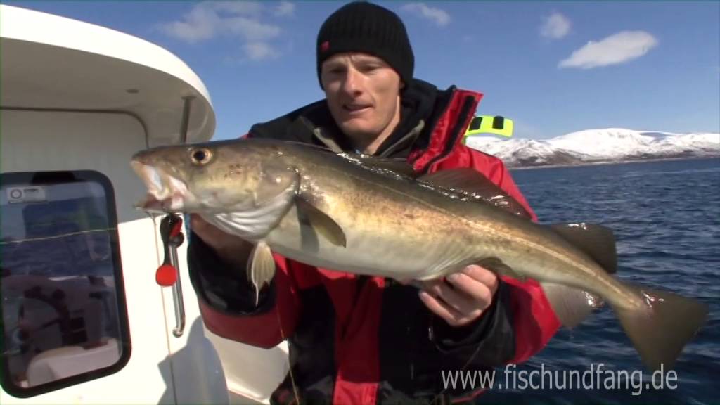 Heilbutt beim ersten Versuch - YouTube