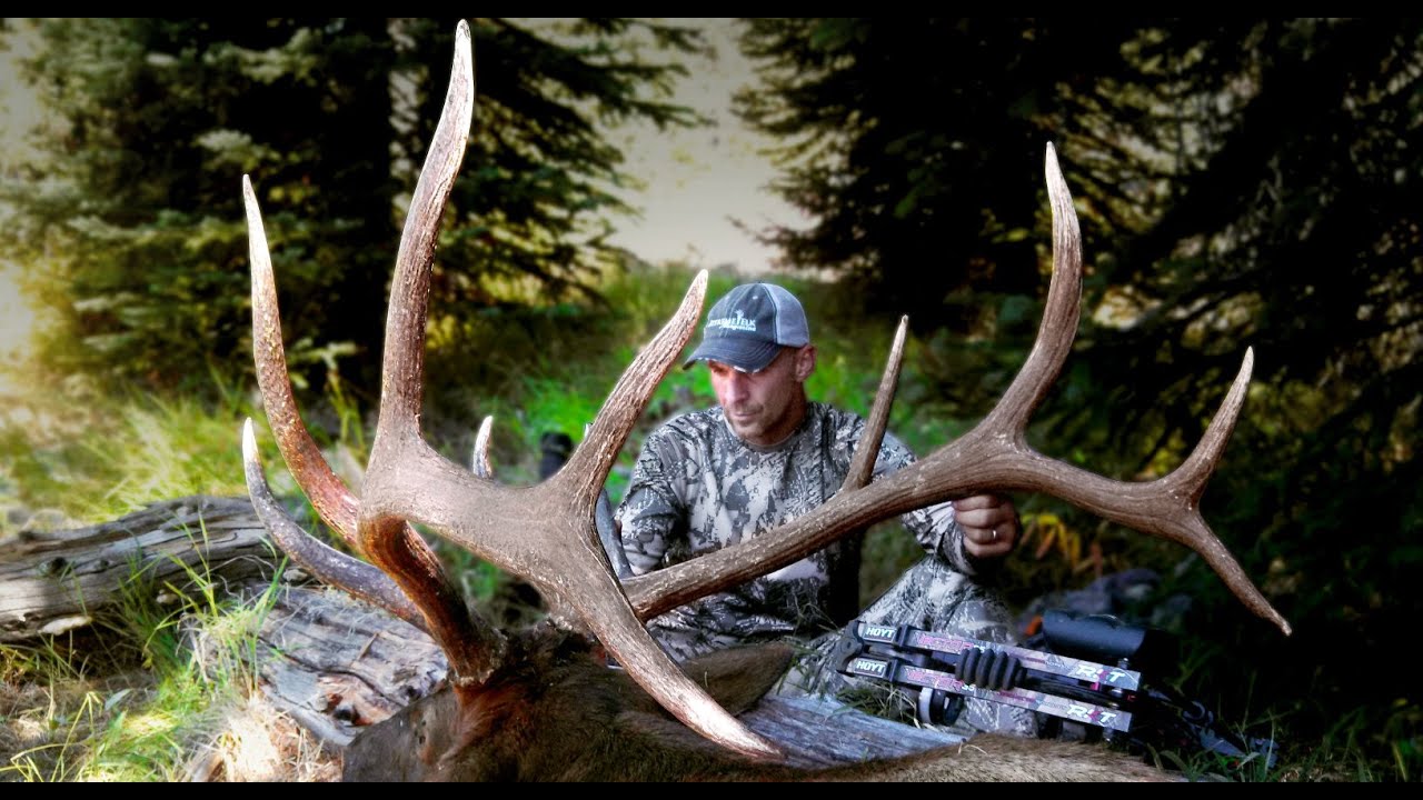 Staying Positive - Elk Hunting Film by Elk101 com - YouTube