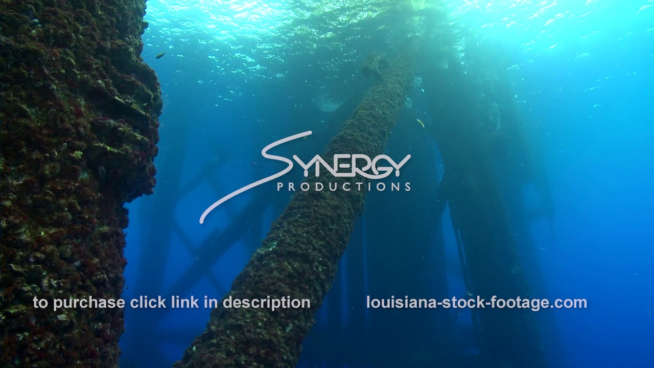 497 Nice tilt of growing coral ecosystem on legs of oil rig gas ...
