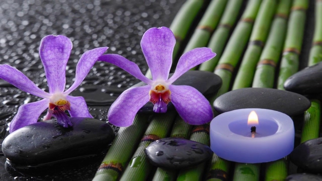Zen Bamboo & Orchid - YouTube