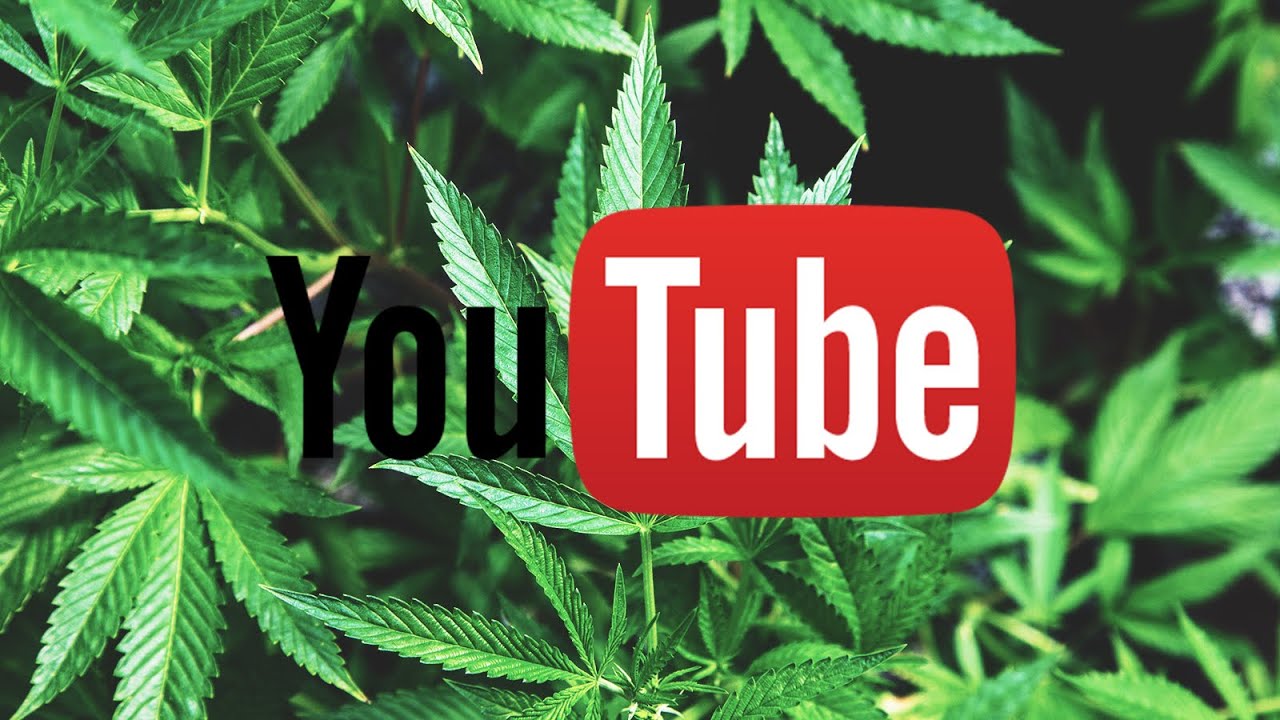 Weed Content On YOUTUBE - YouTube