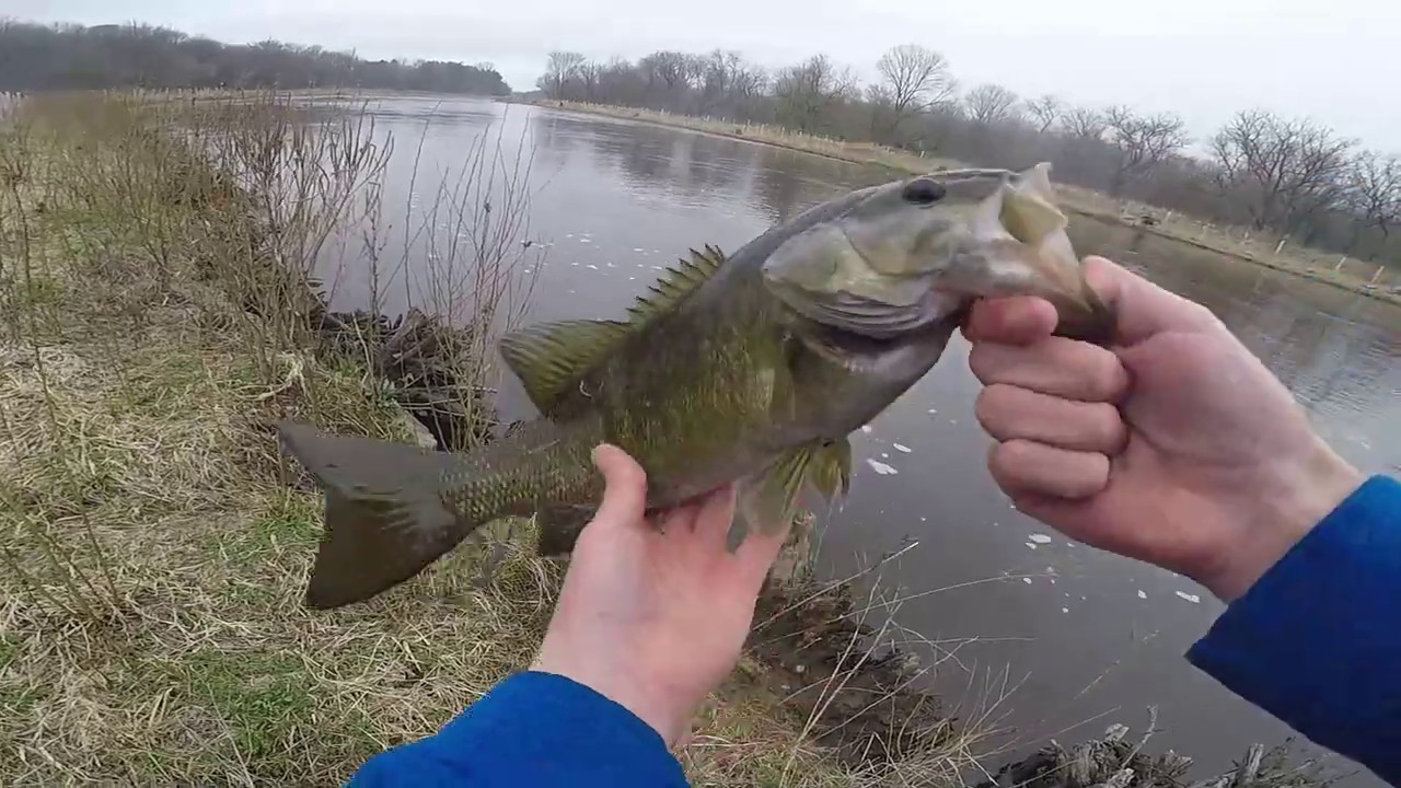 Spring Smallmouth Fishing In FREEZING Cold Water - YouTube