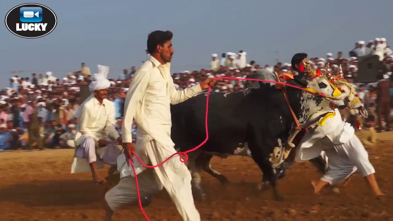 Jalsa Karah 2019 Jhamra Sharif Chakwal kalar kahar New Mela 2019 ...