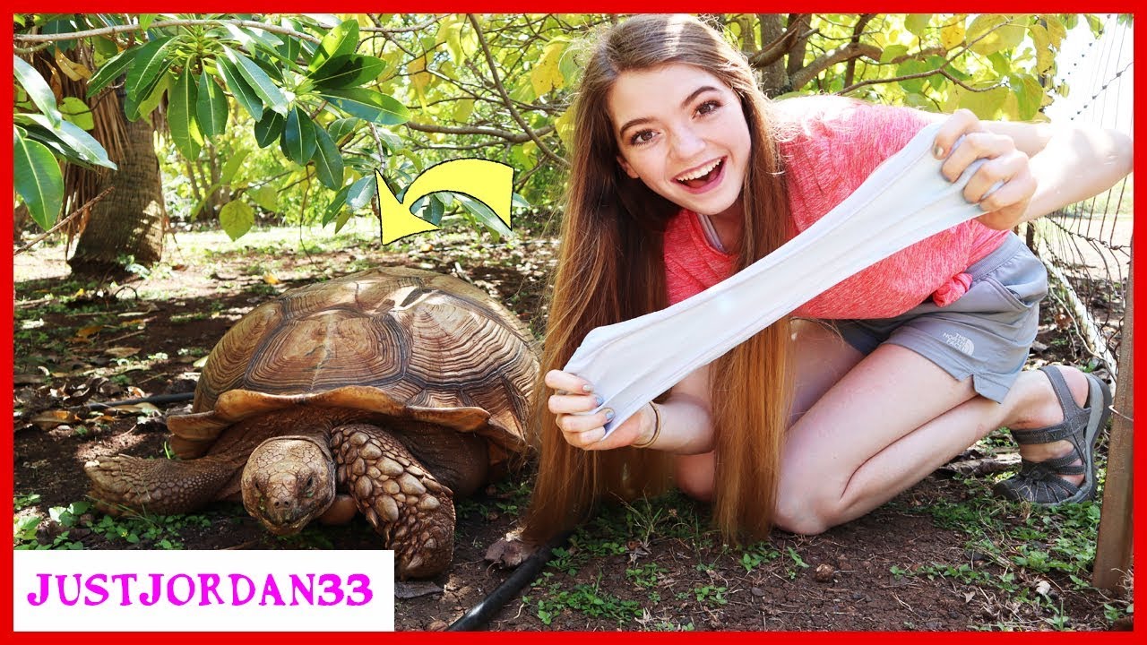 Tortoise Picks My Slime Ingredients / JustJordan33 - YouTube