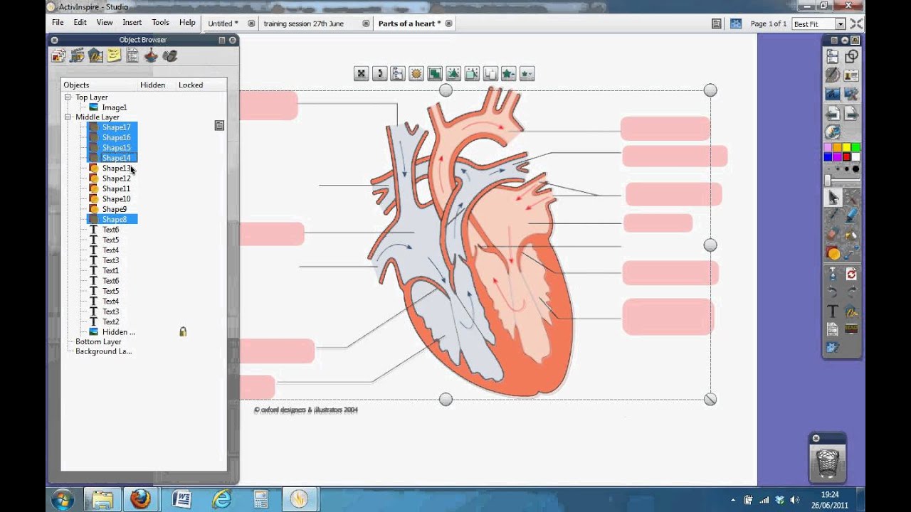 Activ Inspire: Using Magic/ Invisible Ink to Reveal - YouTube