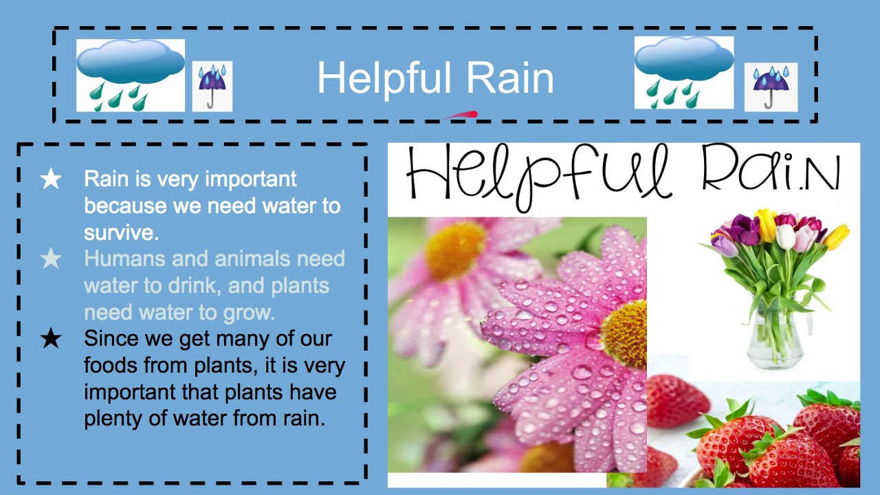Weather: How is Rain helpful? - Google Slides - YouTube