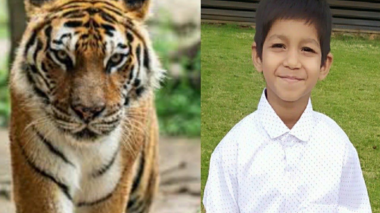 Sayed Zaid-zoo-Belgaum Zoo-Wild Animals - YouTube