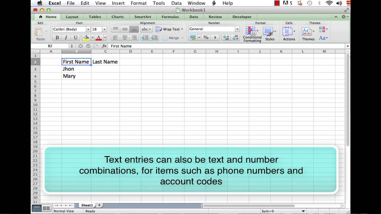 Enter Text in Microsoft Excel: Excel MOOC - YouTube