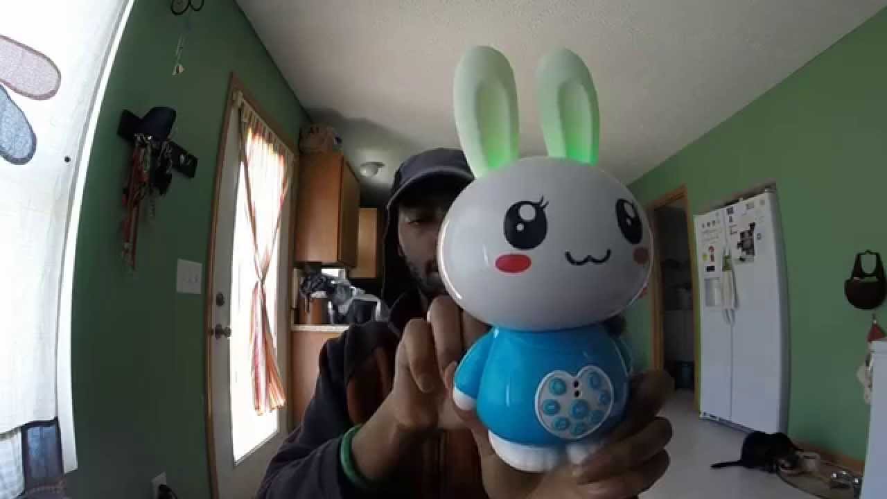 The Mysterious Chinese Bunny Rabbit - YouTube