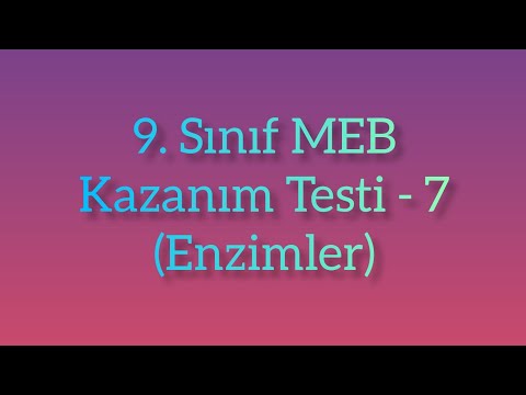 9. Sınıf Biyoloji MEB Kazanım Testi -7 (Enzimler)