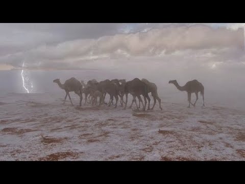 Unbelievable miracle in the desert! Terrible storm and scary dark ...