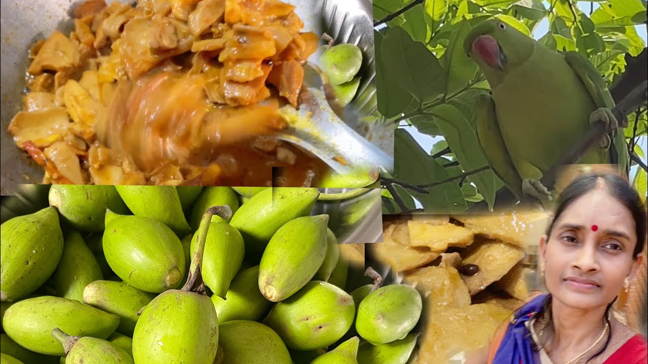 মহুয়া ফল রান্না // কচরা রেসিপি /// Mahua Recipe // Mahua Recipe ...