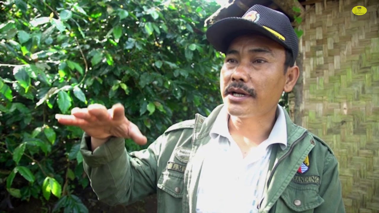 petik merah saja....paguyuban tani sunda hejo - YouTube