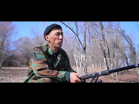 Oltin baliq haqida prikol