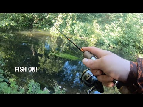 TROUT FISHING IN LONDON? - YouTube