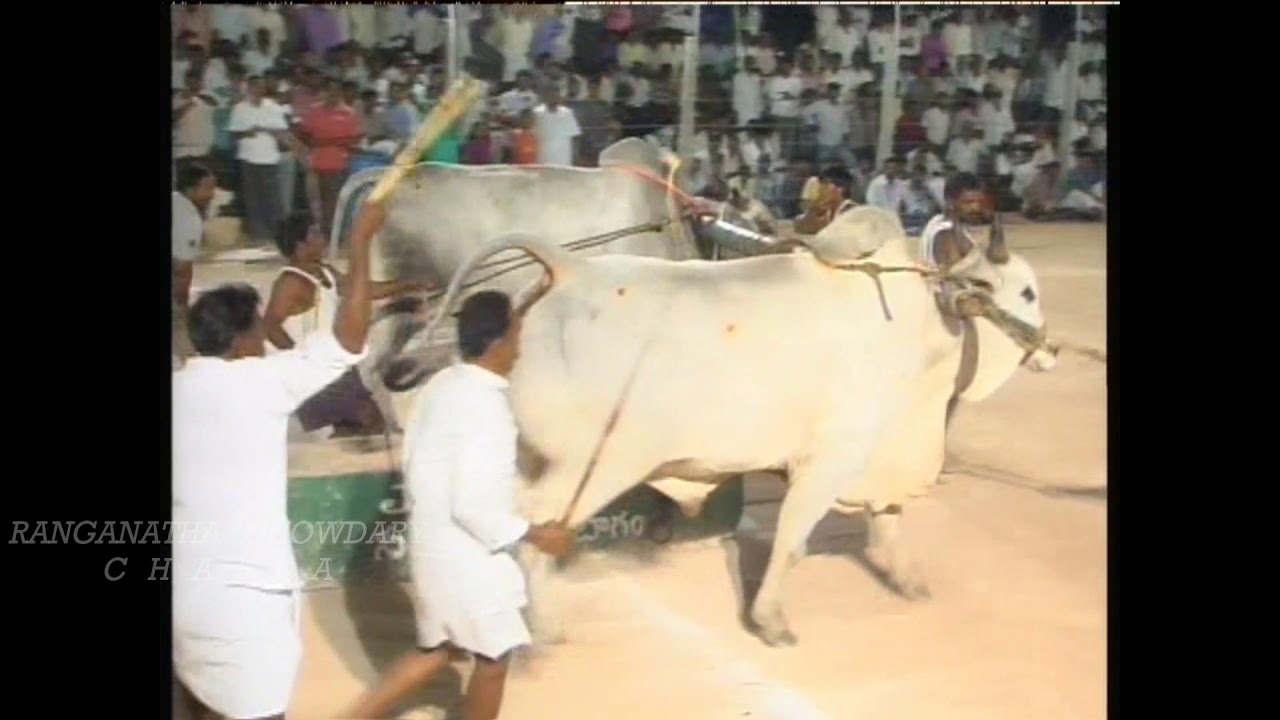 2015 Tadipatri "SENIORS" : Putta Venkata Subba Reddy, Peddaputta(V ...