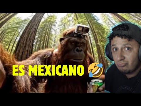EL LOCO MARRON de Tiktok 🤣🦍 - YouTube