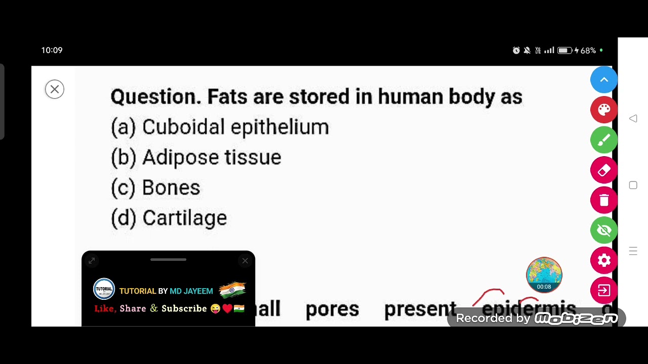 Fats are stored in human body as :- - YouTube