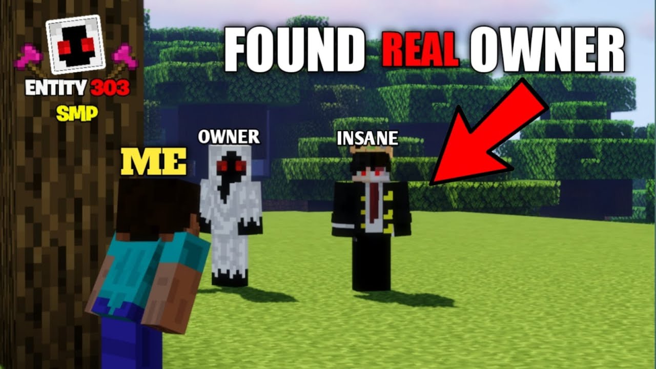 How I Founded Owner of the Deadliest Minecraft SMP | Entity 303 SMP ...
