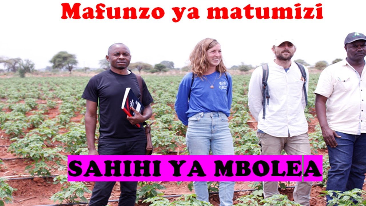 Dalasa la MATUMIZI YA MBOLEA KWA KILIMO BORA cha mbogamboga - YouTube