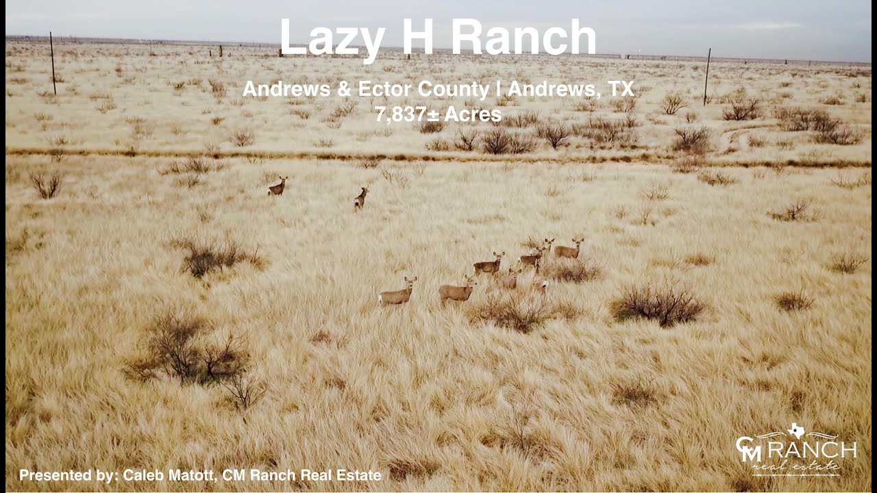FOR SALE - Lazy H Ranch - YouTube