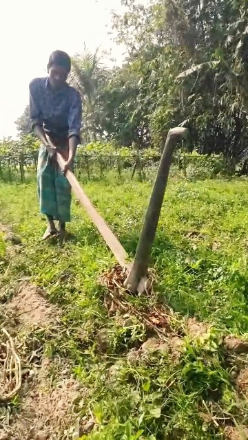 Traditional primitive agriculture technology #primitive #amazing - YouTube