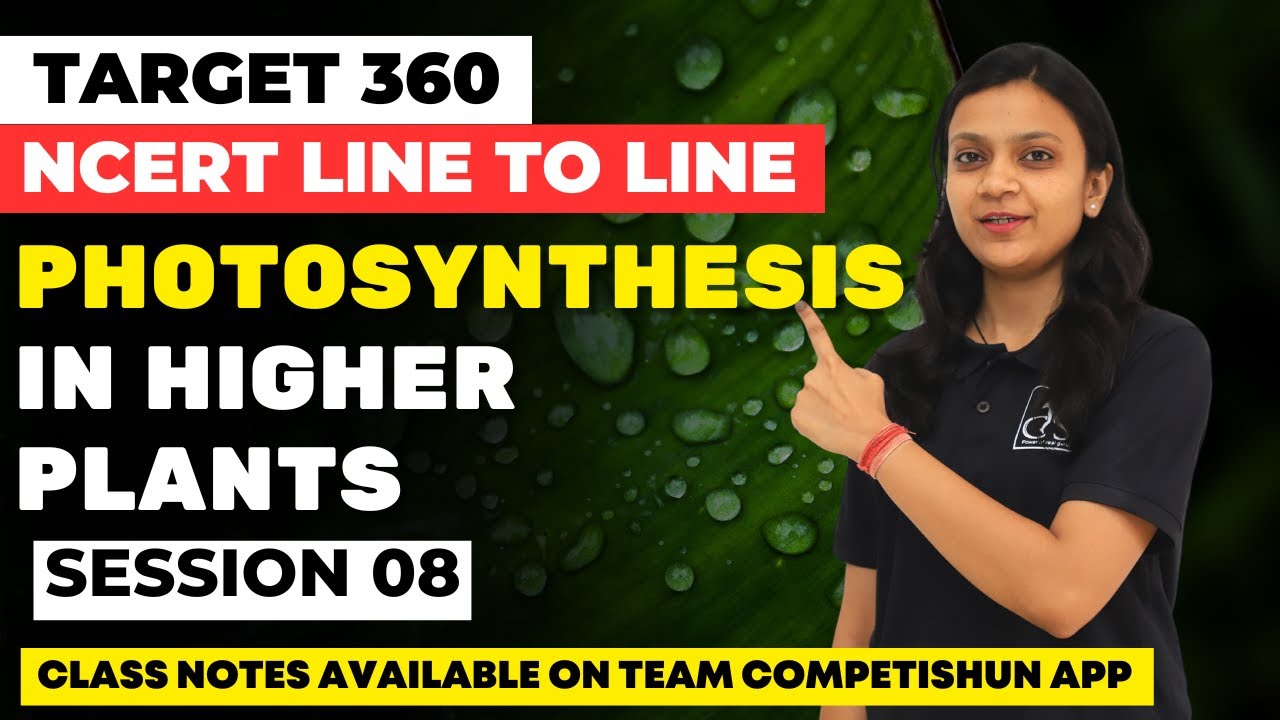 Photosynthesis in higher plants-8 | NCERT line by line | Hatch & Slack ...
