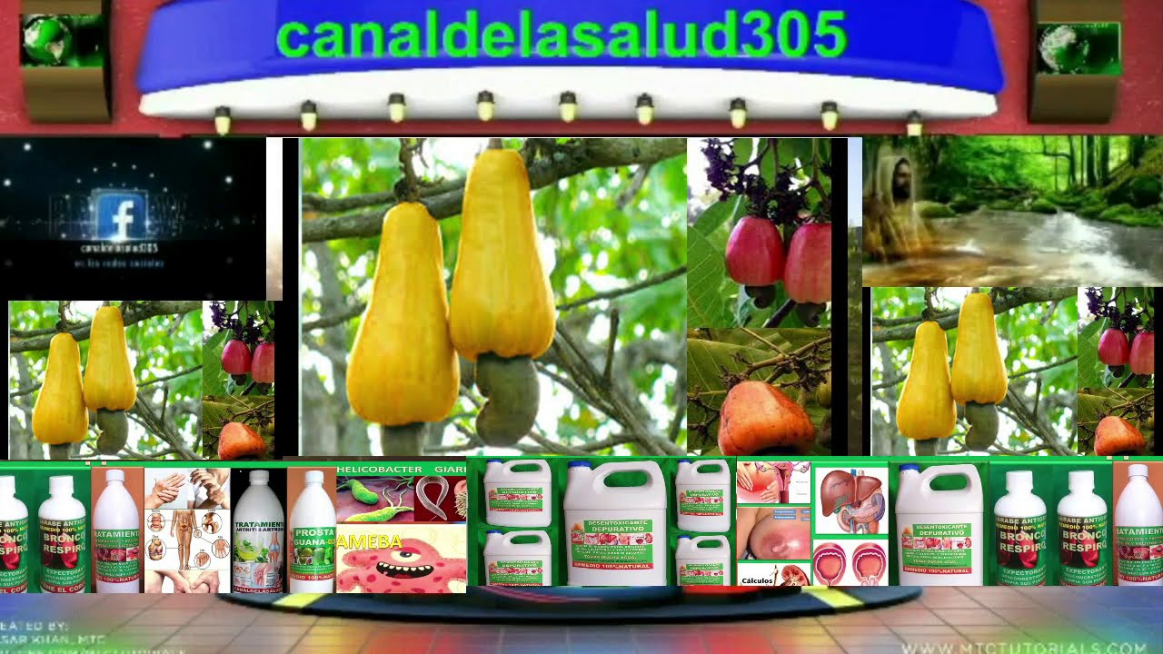 EL CAJUIL ES MUY MEDICINAL VEA EL VIDEO - YouTube