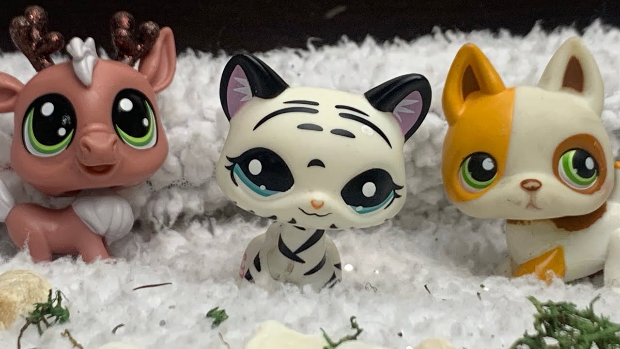 LPS Hidden Worlds Episode 4 | A Strangers Words - YouTube