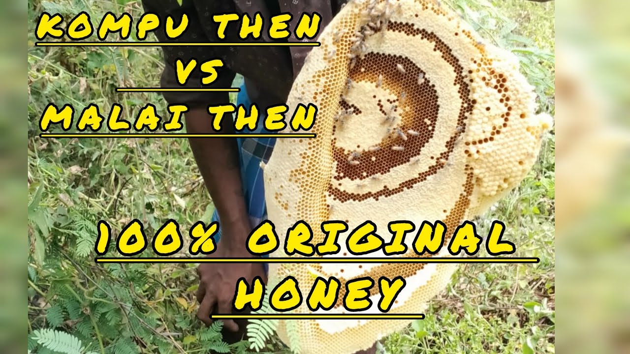 kompu then vs malaithen explain 100% original then #riyal honey #100 % ...
