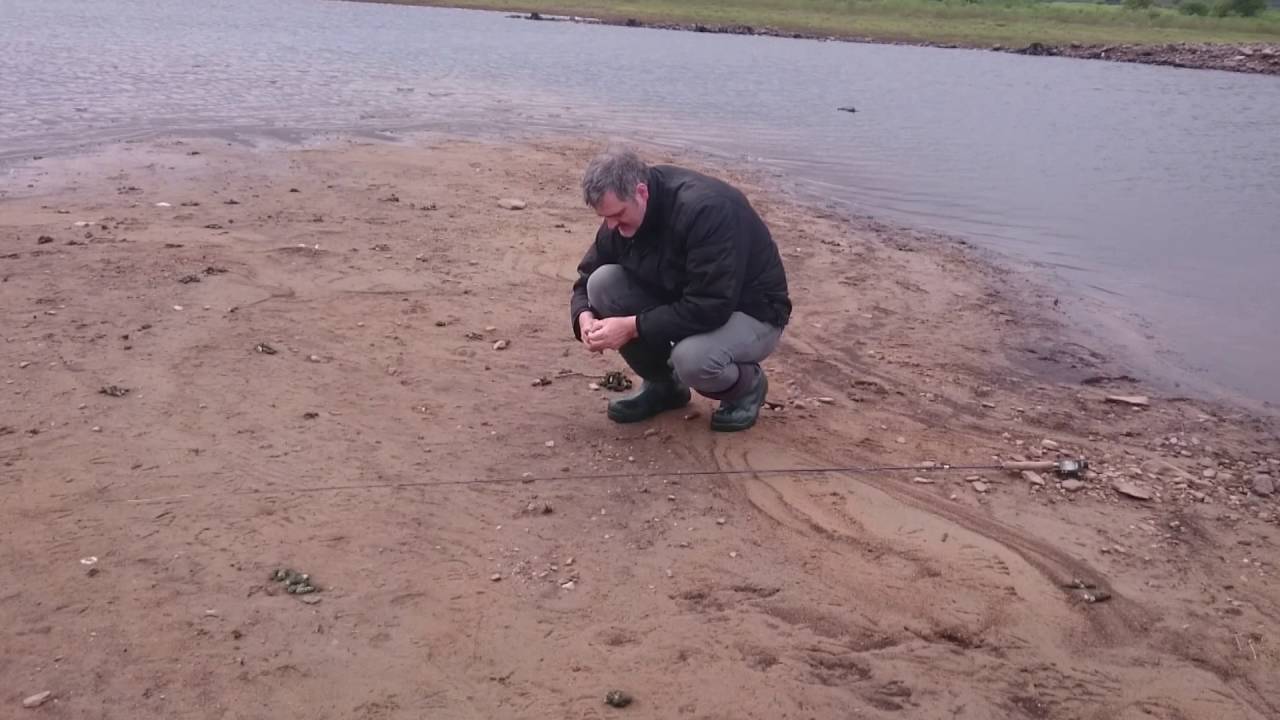 Monster fish in lairg - YouTube