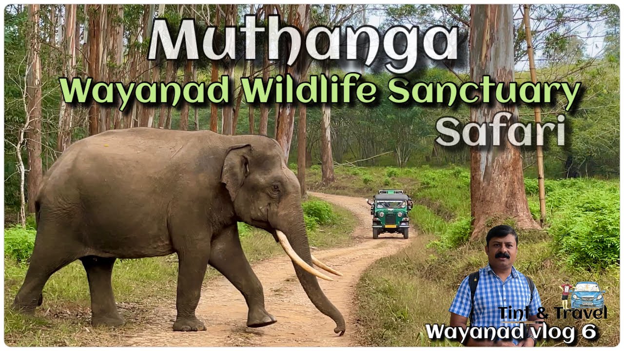 Muthanga Wildlife Sanctuary