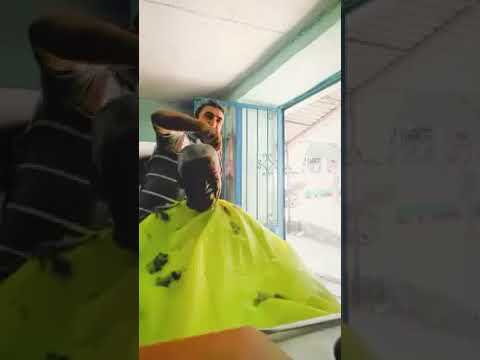 70 lik mehmet dedenin kepekle imtihanı