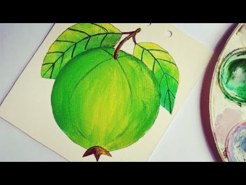 how to draw a guava🍐step by step guava drawing 🍐easy guava drawing 🍐 ...