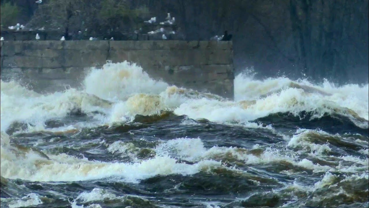 2019 Ottawa flood update -- Closeup of the Deschênes Rapids - YouTube