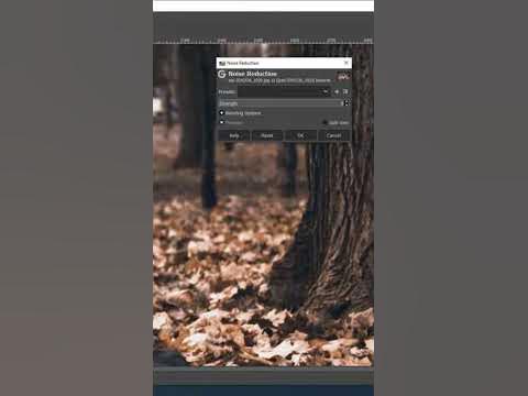 How to Reduce Noise in GIMP - YouTube