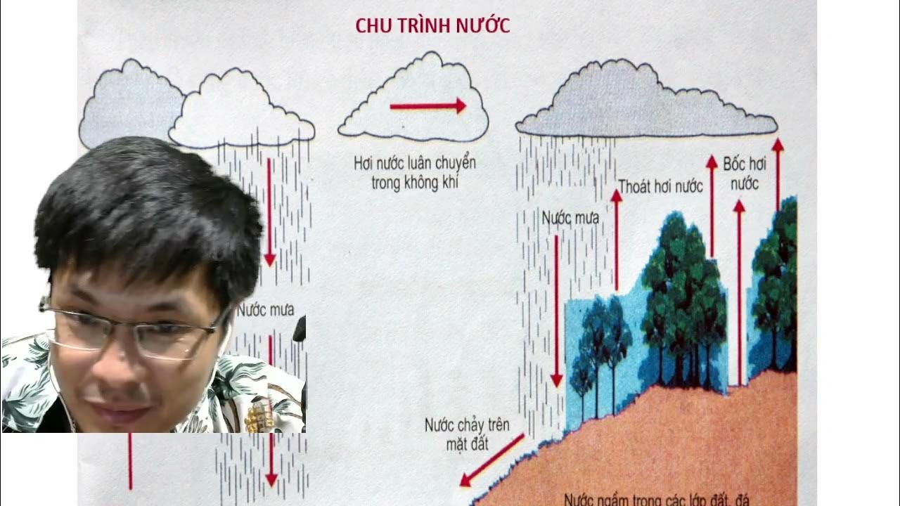 phần 5 Dong nang luong trong he sinh thai va hieu suat sinh thai tiếp theo - YouTube