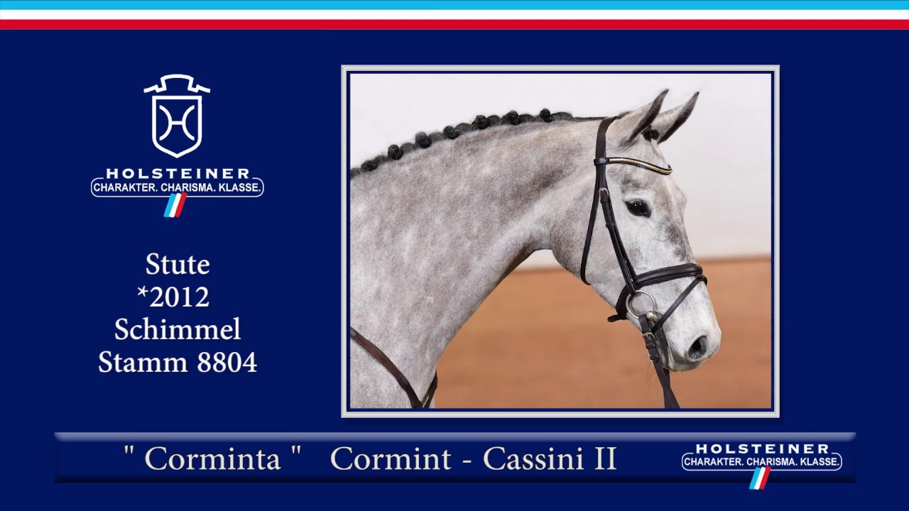 119 | Corminta v. Cormint - Cassini II - YouTube