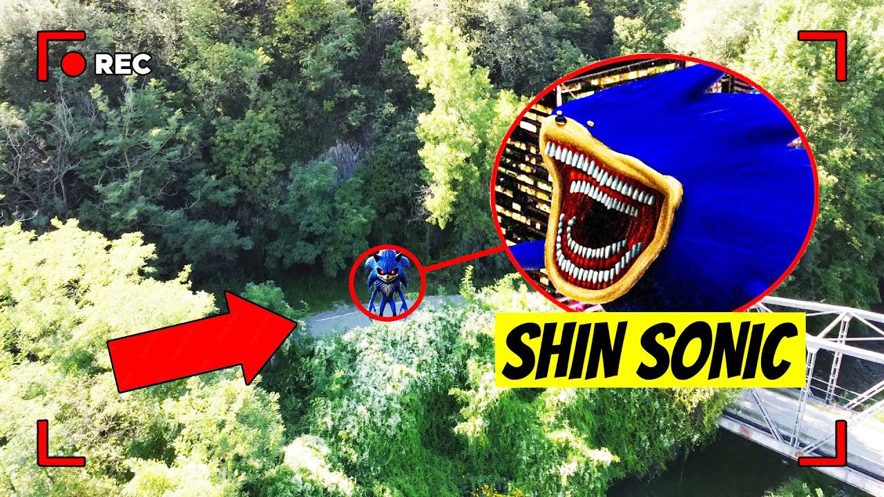 SHIN SONIC SI NASCONDE DAL DRONE!! (Parte 1) - YouTube