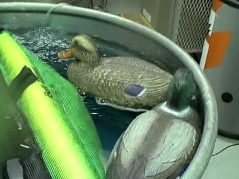 Fish Lady shows off GO FISH BAIT ! - YouTube