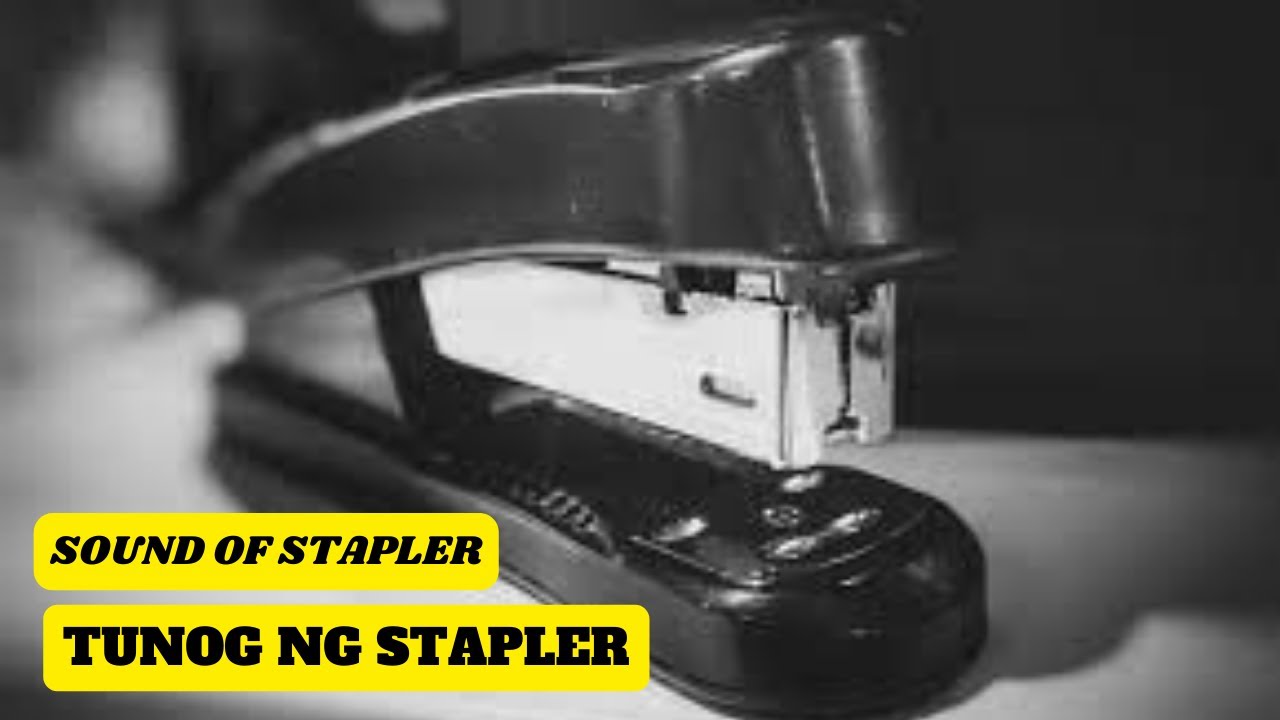 Tunog ng STAPLER | Sound of STAPLER - YouTube