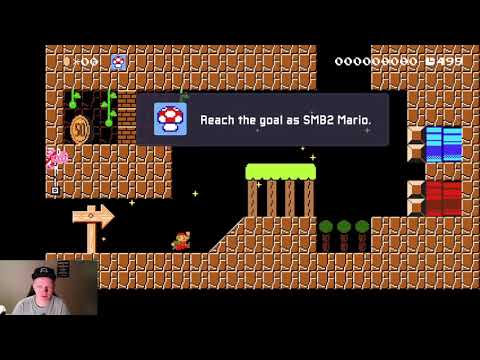 SMM2: Beating a SMB2 puzzle level - YouTube