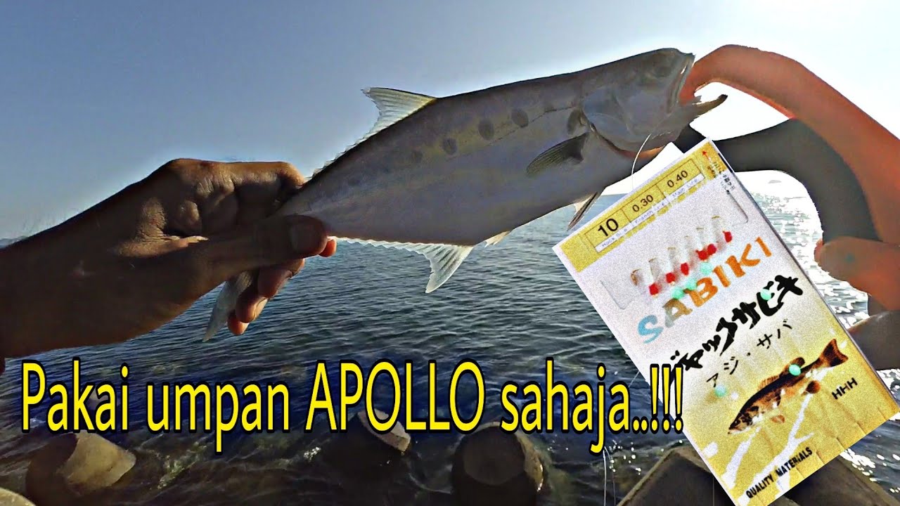 Mancing ikan talang guna apollo je bang 😆 - YouTube
