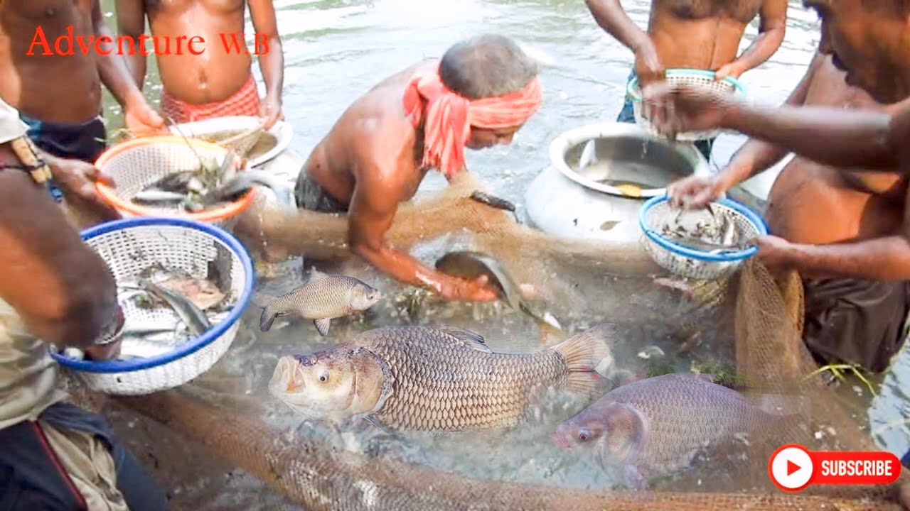 Fishing Video || Big Fish Catching AWSOME fishing|fisherman catching ...