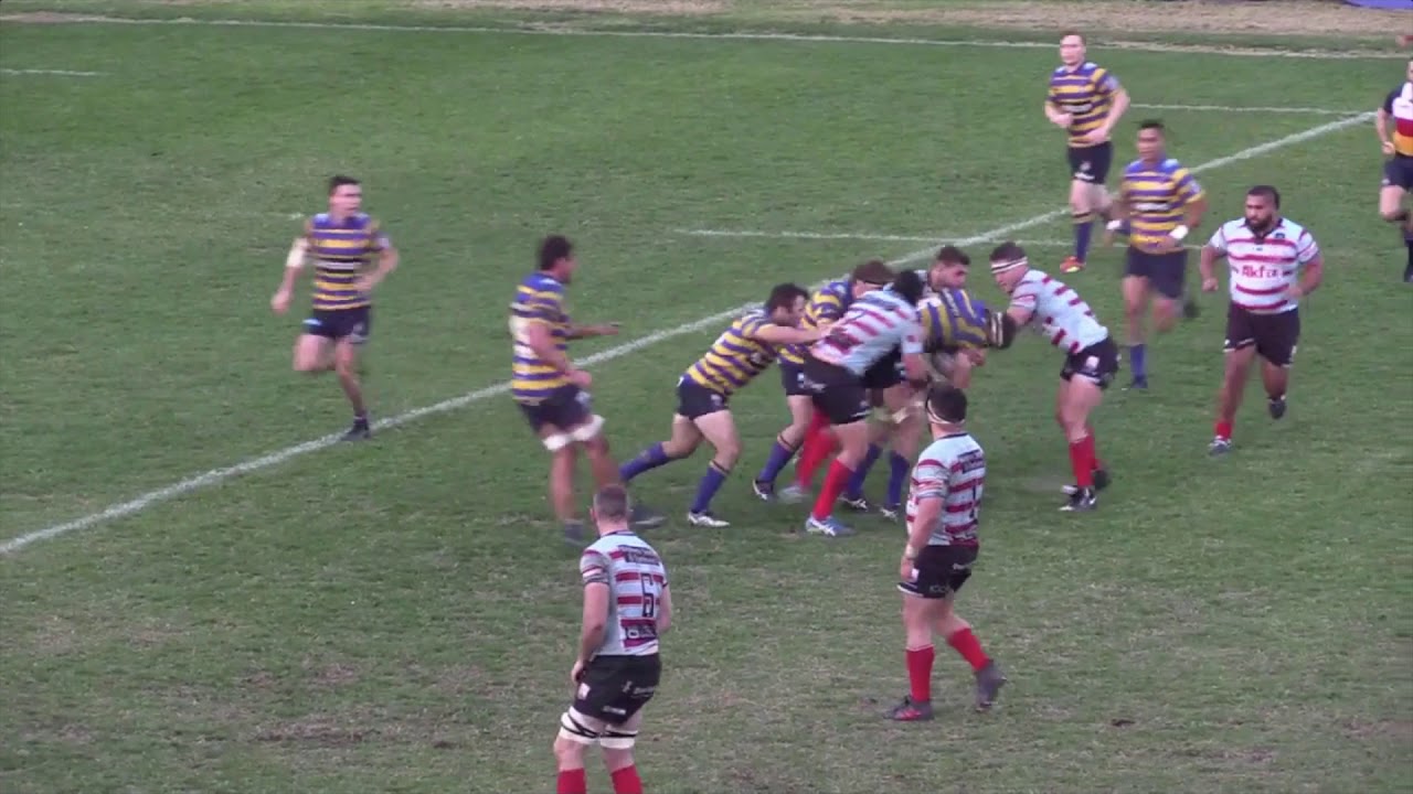 Nick Champion de Crespigny 2019/2020 Season - YouTube