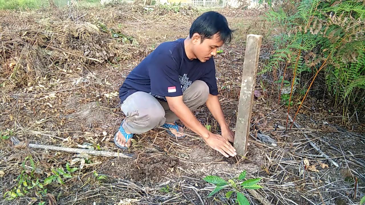 Pemasangan Patok Tanda Batas Tanah Tanggal 27 Juli 2019 - YouTube
