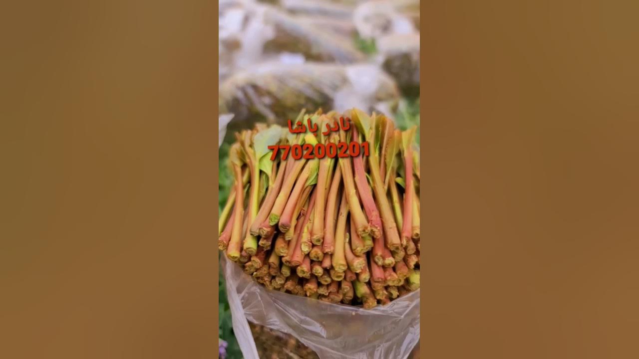 #قات_وكالة_🤣😂😂😂 - YouTube