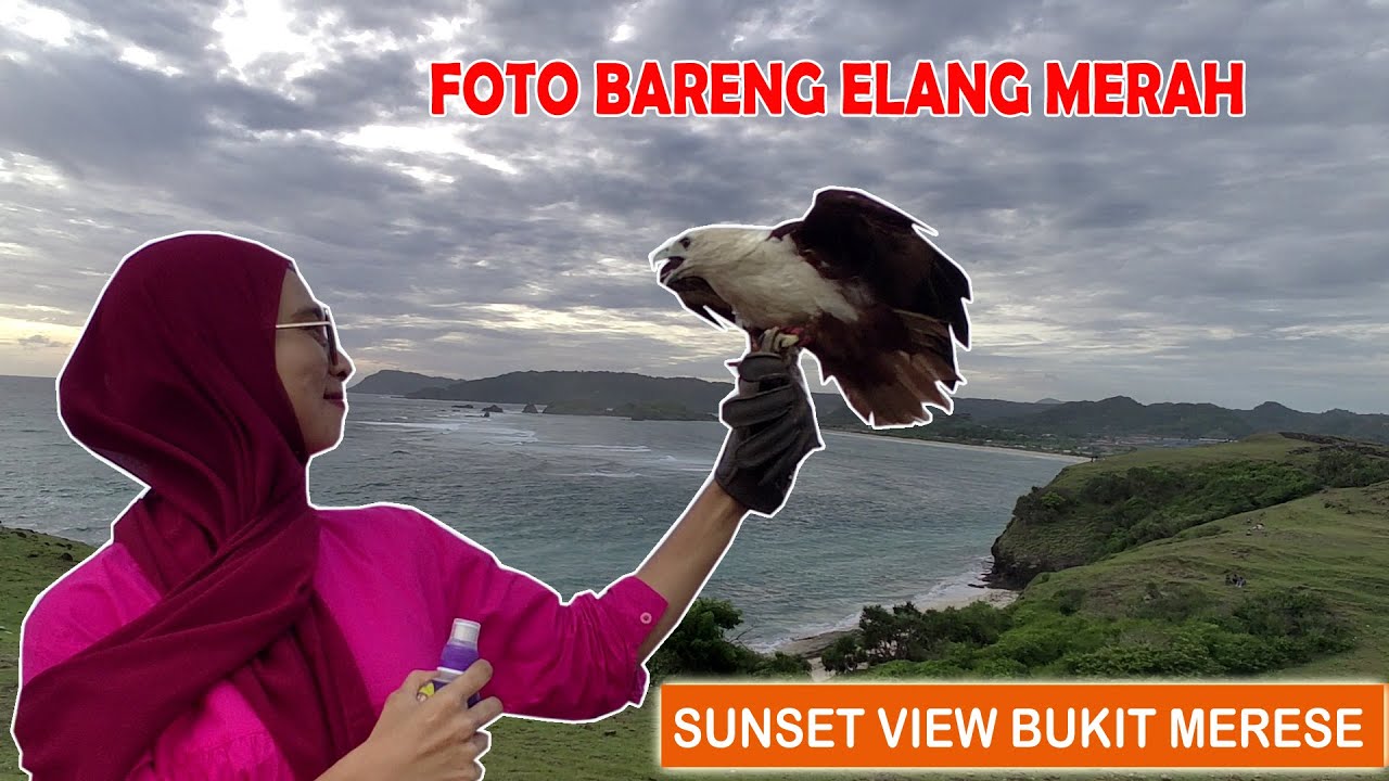 LOKASI SUNSET TER THE BEST DI LOMBOK - BANYAK ELANG DI BUKIT MERESE ...