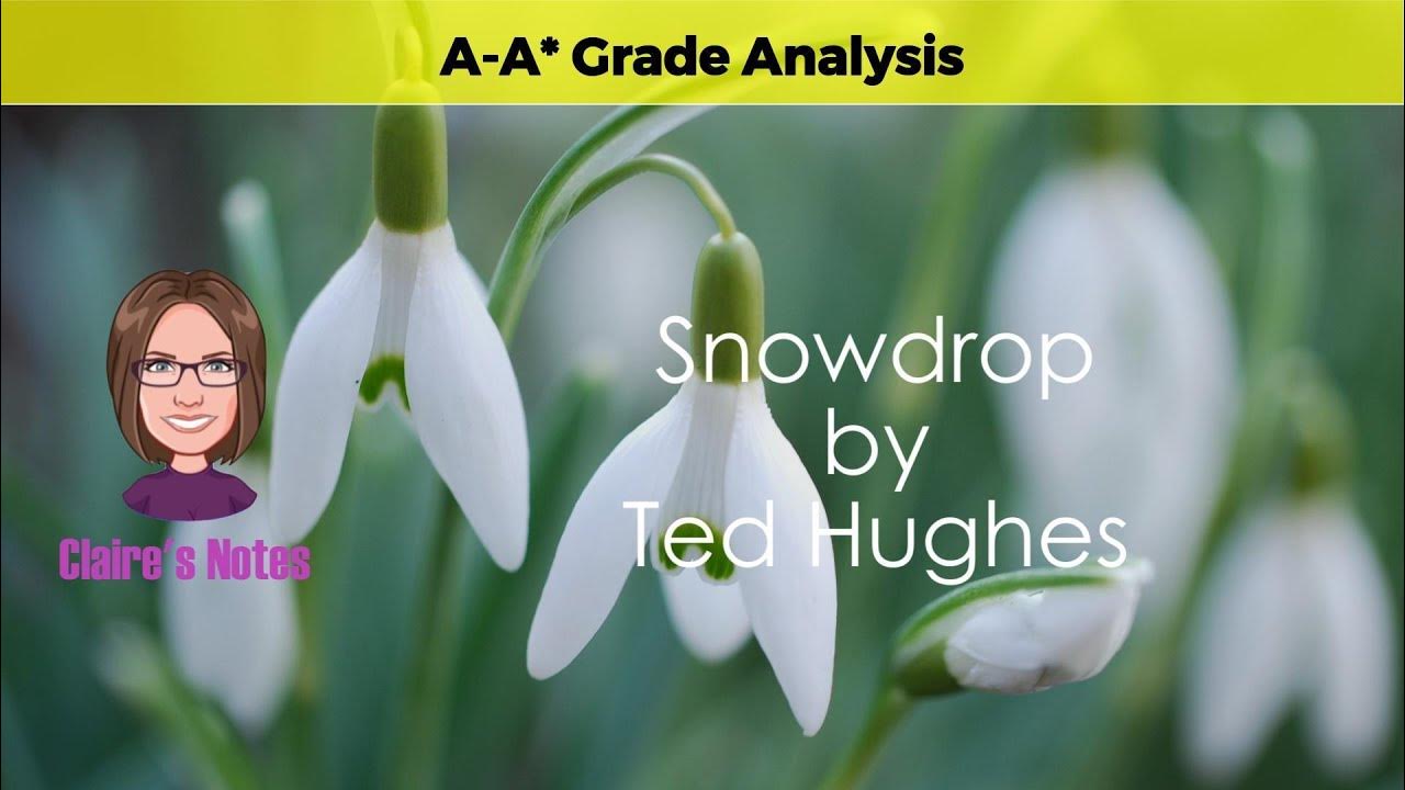 Snowdrop by Ted Hughes (Detailed analysis) - YouTube